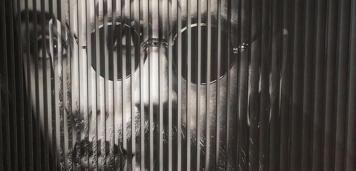 Lenticular Print: What It Is and 6 Common Uses in Marketing