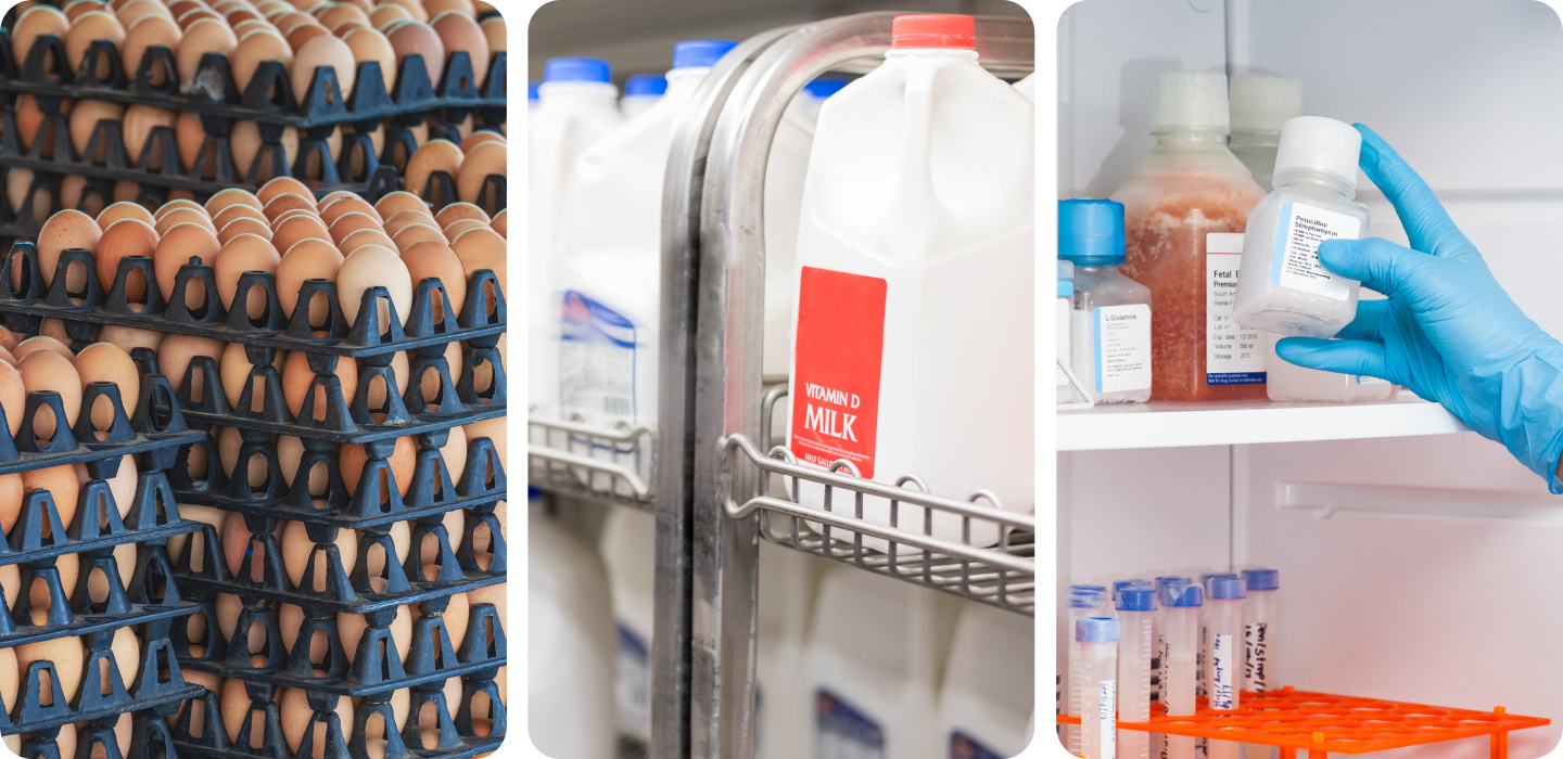 Cold Chain Packaging: The Need for Sustainable, Recyclable and Reusable ...